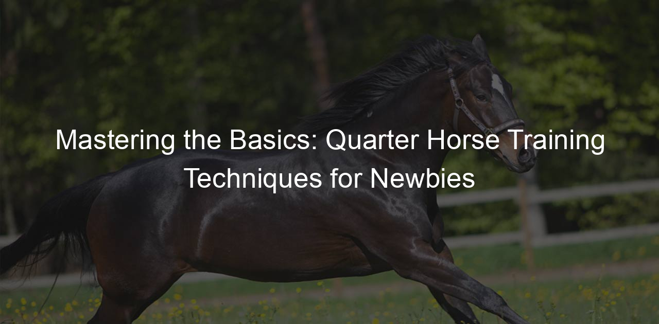 Mastering the Basics: Quarter Horse Training Techniques for Newbies ... Mastering the Basics: Quarter Horse Training Techniques for Newbies ...